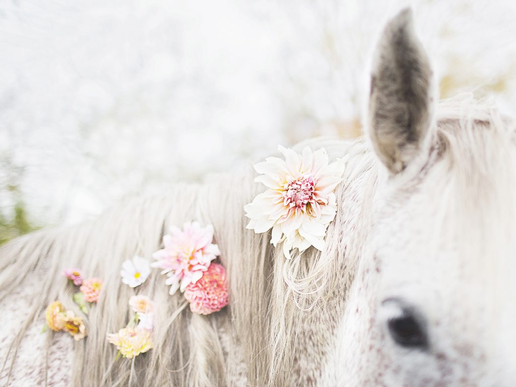 floral mane – Simply Rosie